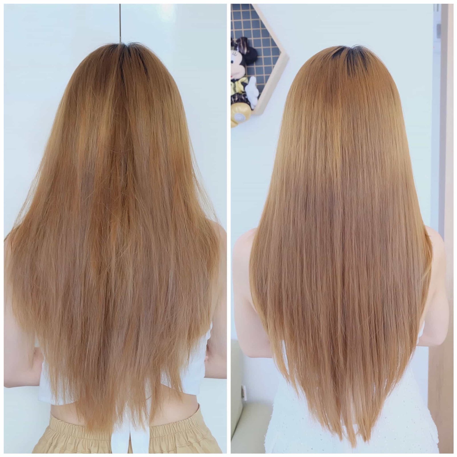 Class Set Treat Dry And Damaged Hair - Incosmax ขายเครื่องสำอาง อาหารเสริม